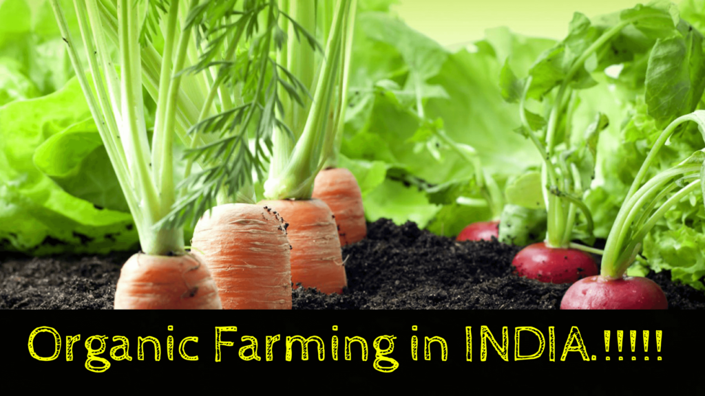 Organic farming in india is increasing day by day why!!